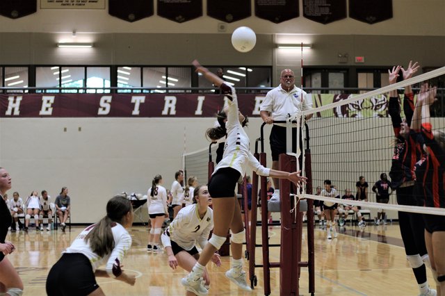 VOLLEYBALL: Versatile Lady Tigers give coach Goode first two wins as ...