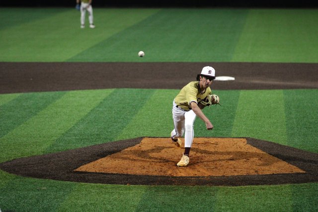 BASEBALL: Tigers show resilience in series win over Chestatee - Dawson ...