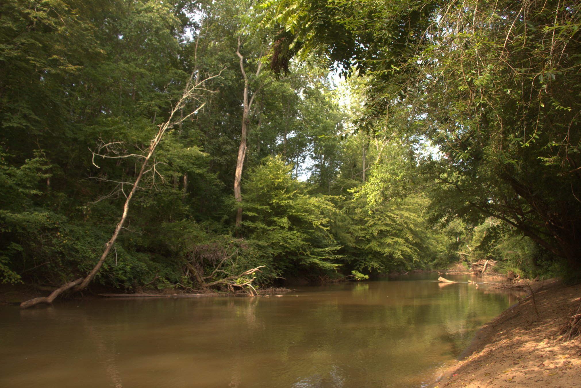 How to safely enjoy Dawson County’s waterways this summer - Dawson ...